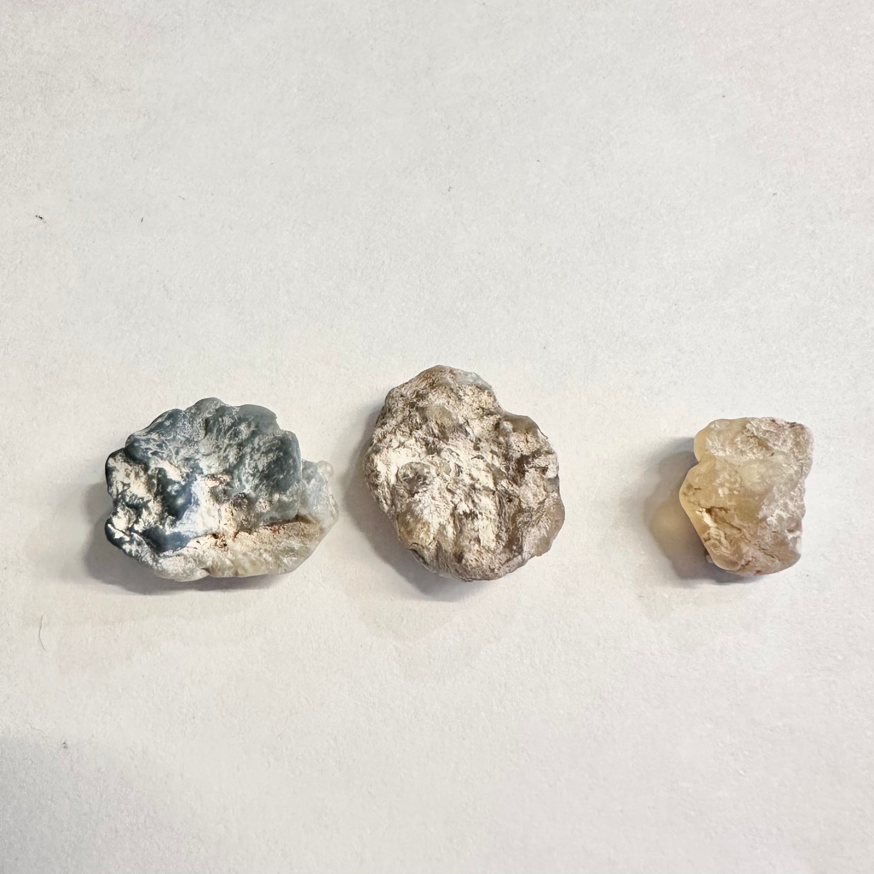 Fossil Worm Cast – Rare and Beautiful