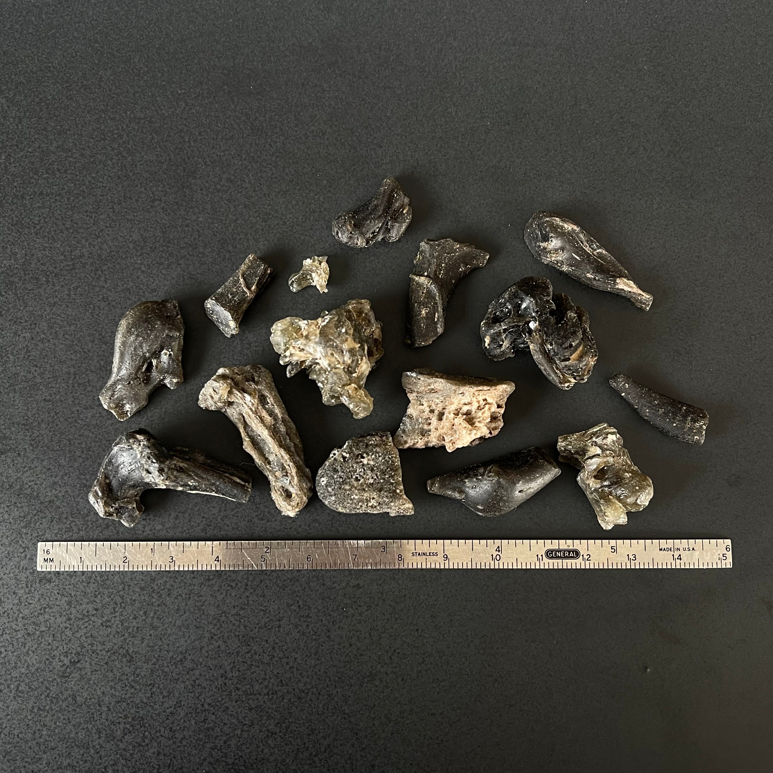 Darwin Glass - 15 Pieces – Rare and Beautiful