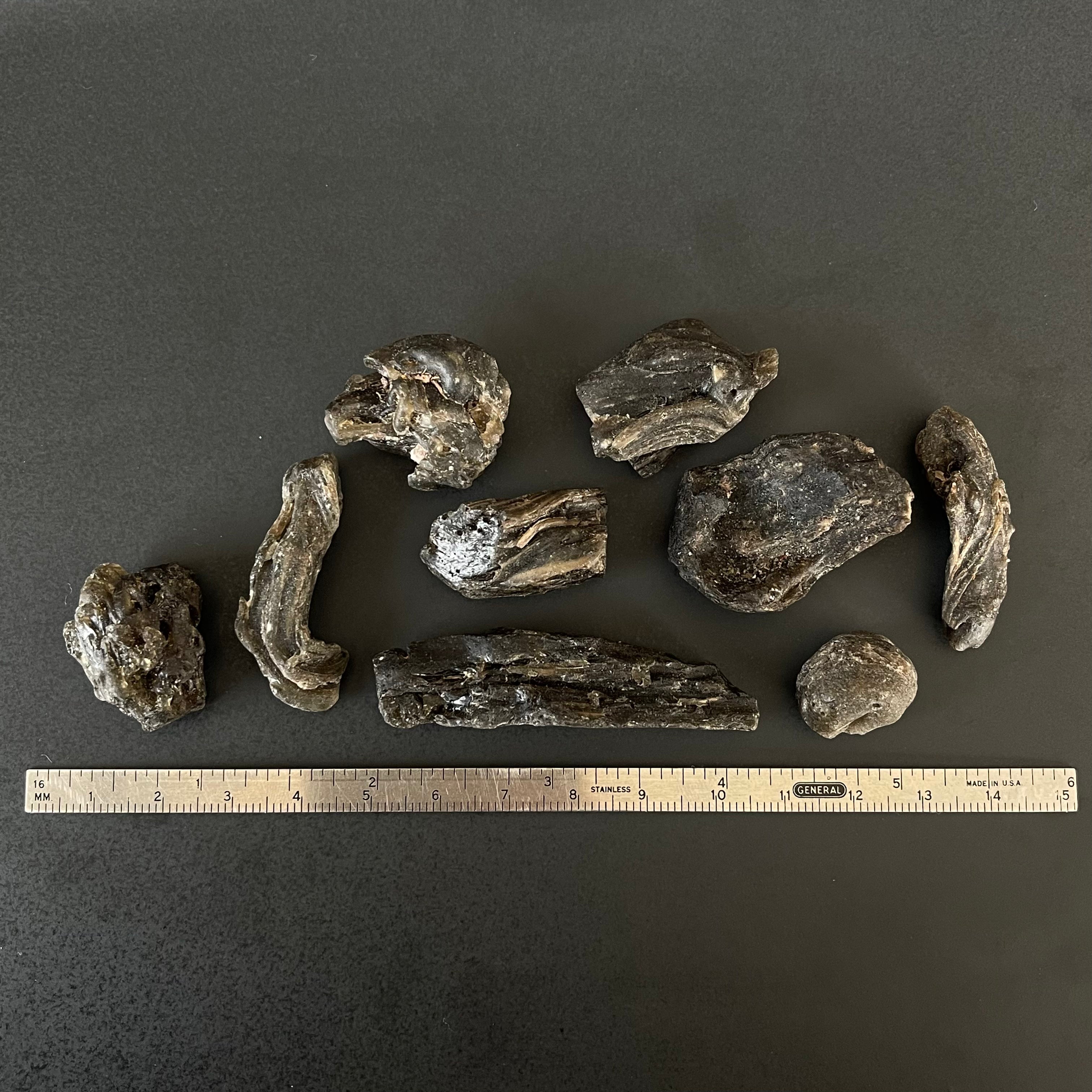 Darwin Glass - 9 Pieces – Rare and Beautiful