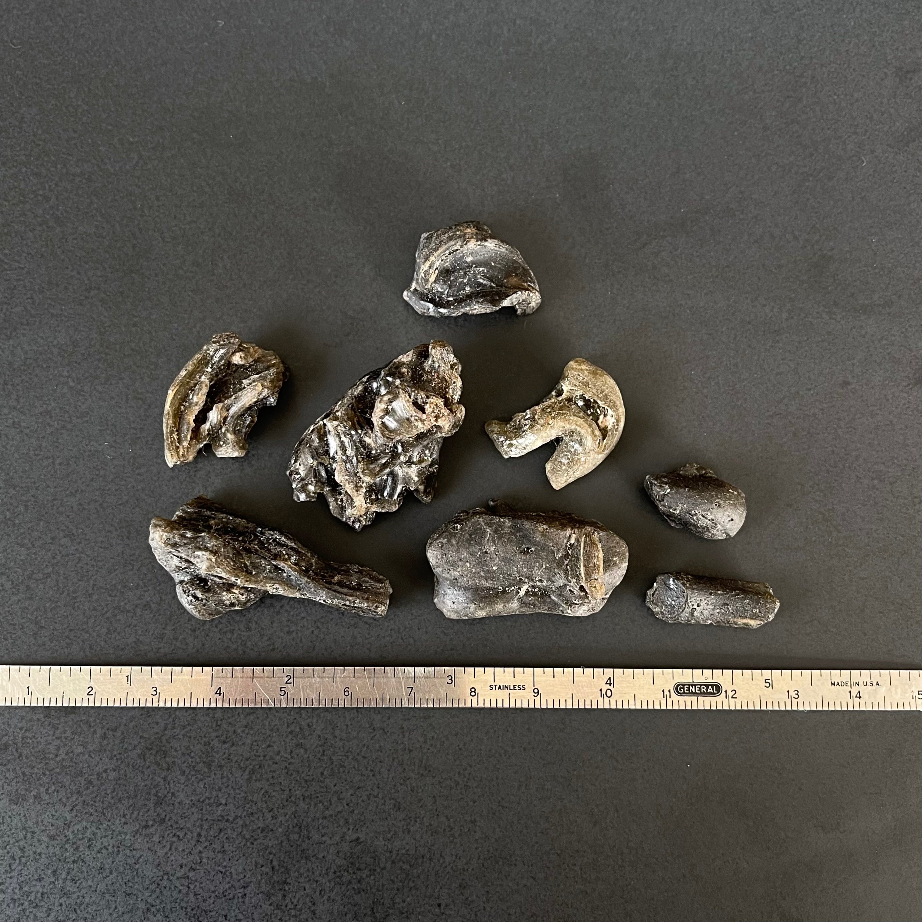 Darwin Glass - 8 Pieces – Rare and Beautiful