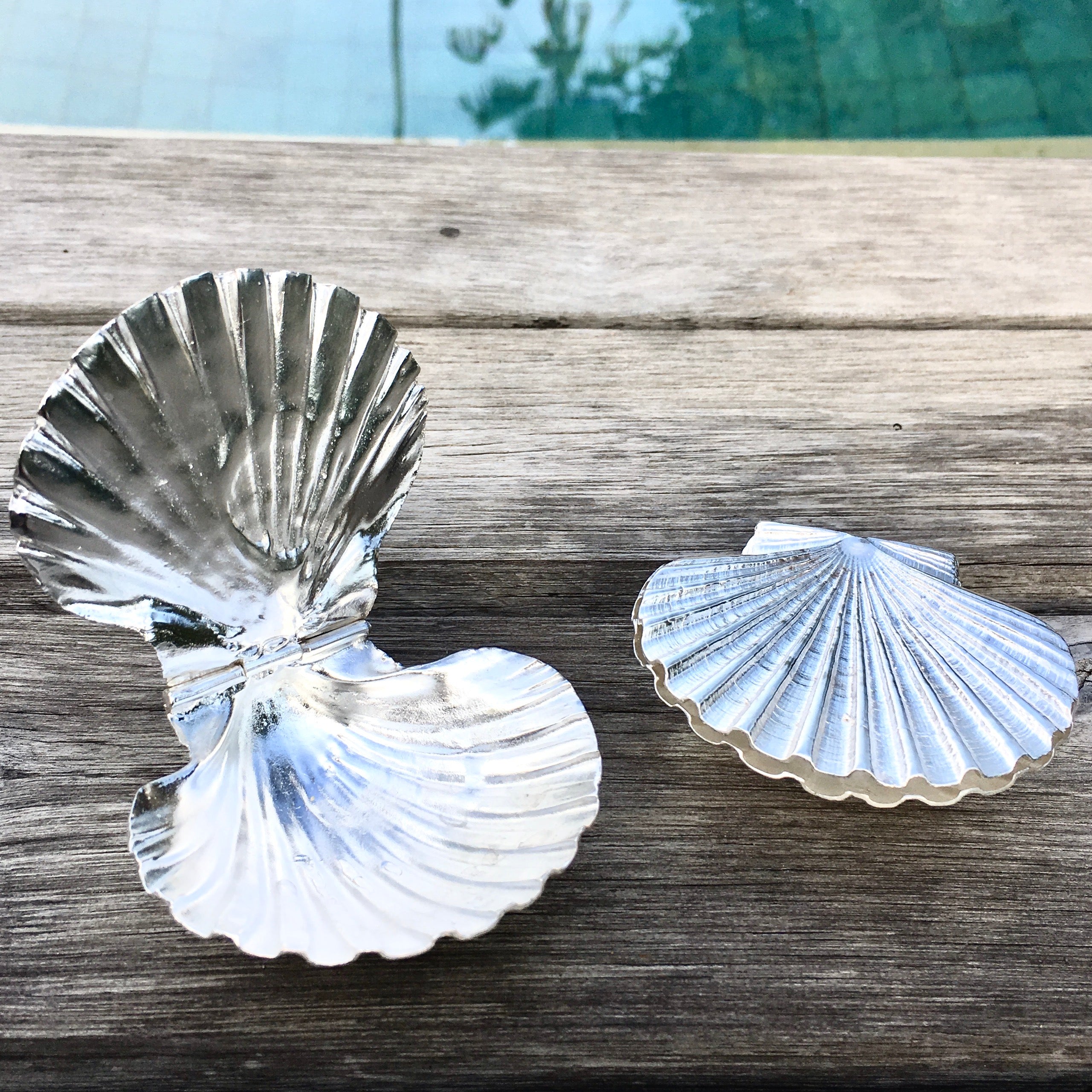 Sterling Silver & Brass Scallop Box – Rare and Beautiful