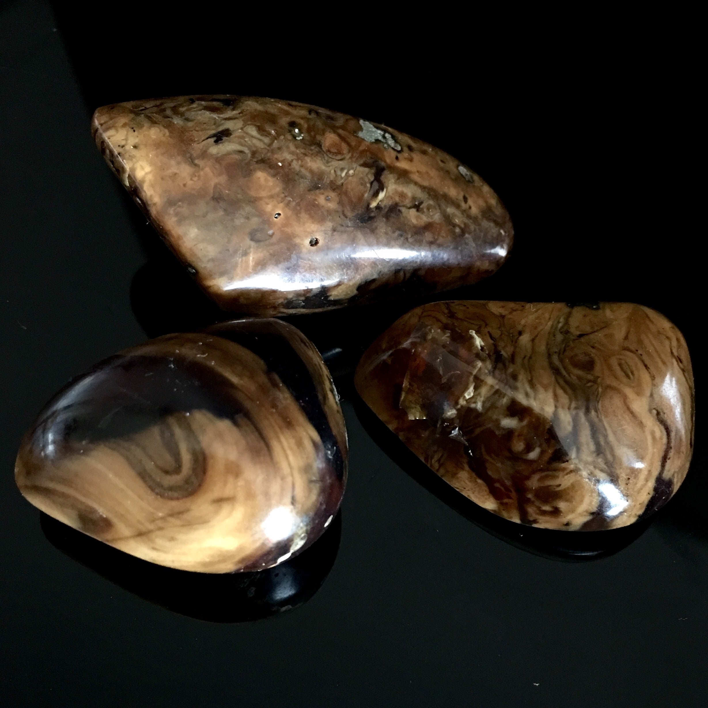 3 pieces of Burmese wood amber – Rare and Beautiful